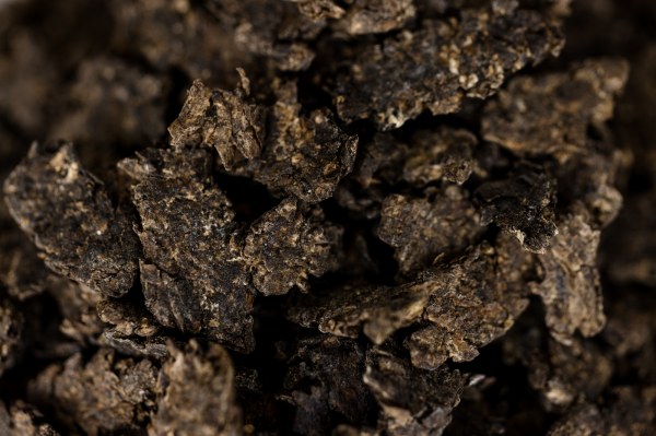 Benefits of Feeding Beet | Nutrition Advice | Dunstan Horse Feeds - NZ