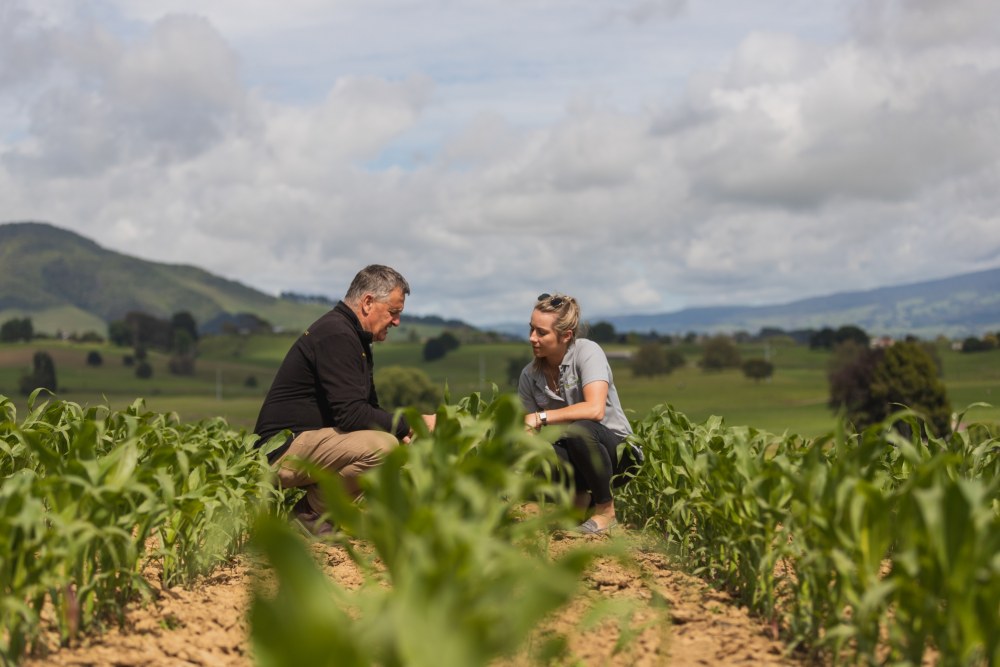 Dunstan Horse Feeds - NZ