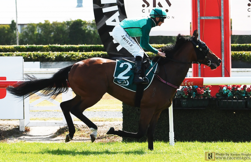 Our Blog | Dunstan Horse Feeds - NZ